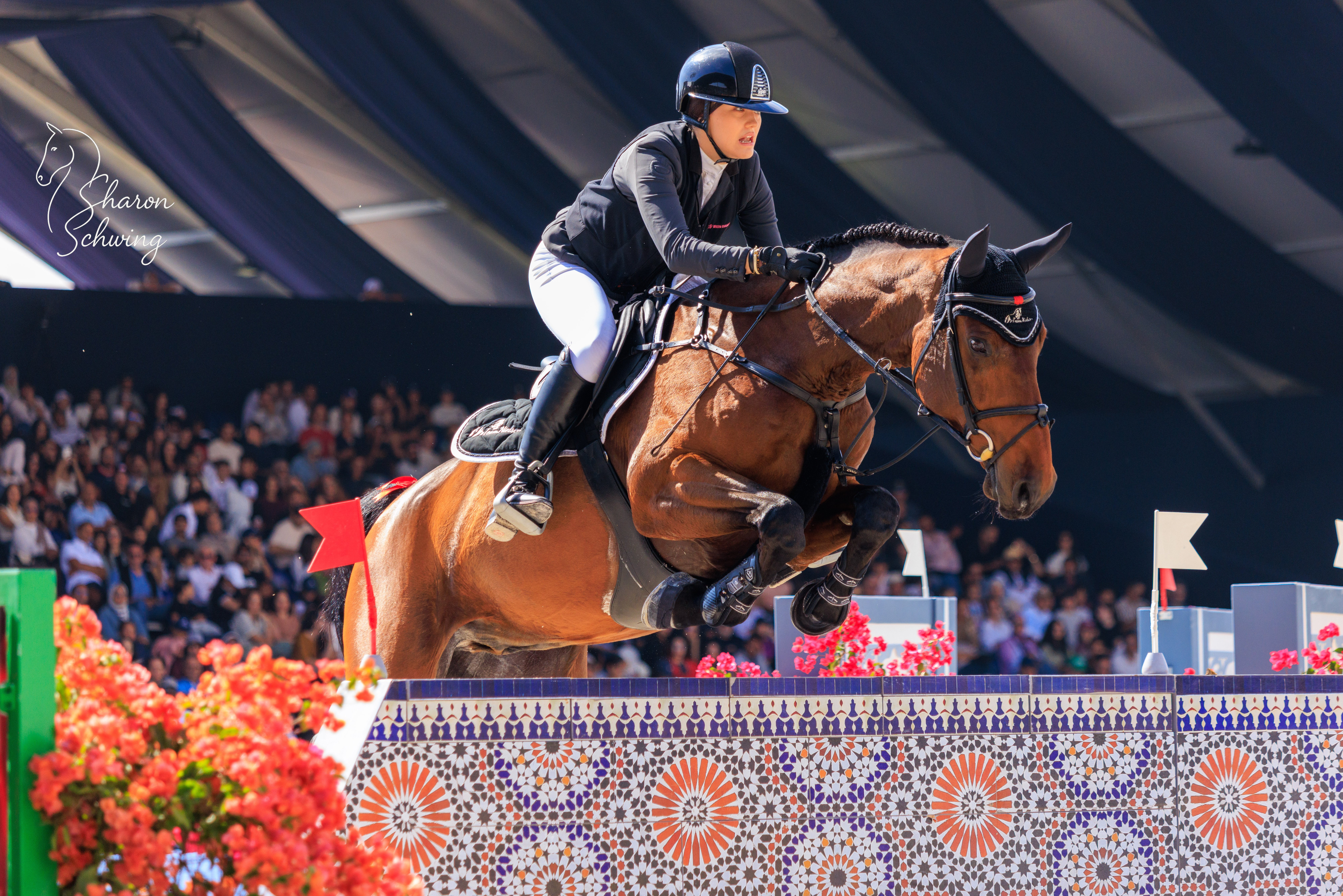 Pieter Devos Zet Belgi Op De Kaart Tijdens LGCT Grote Prijs In Rabat